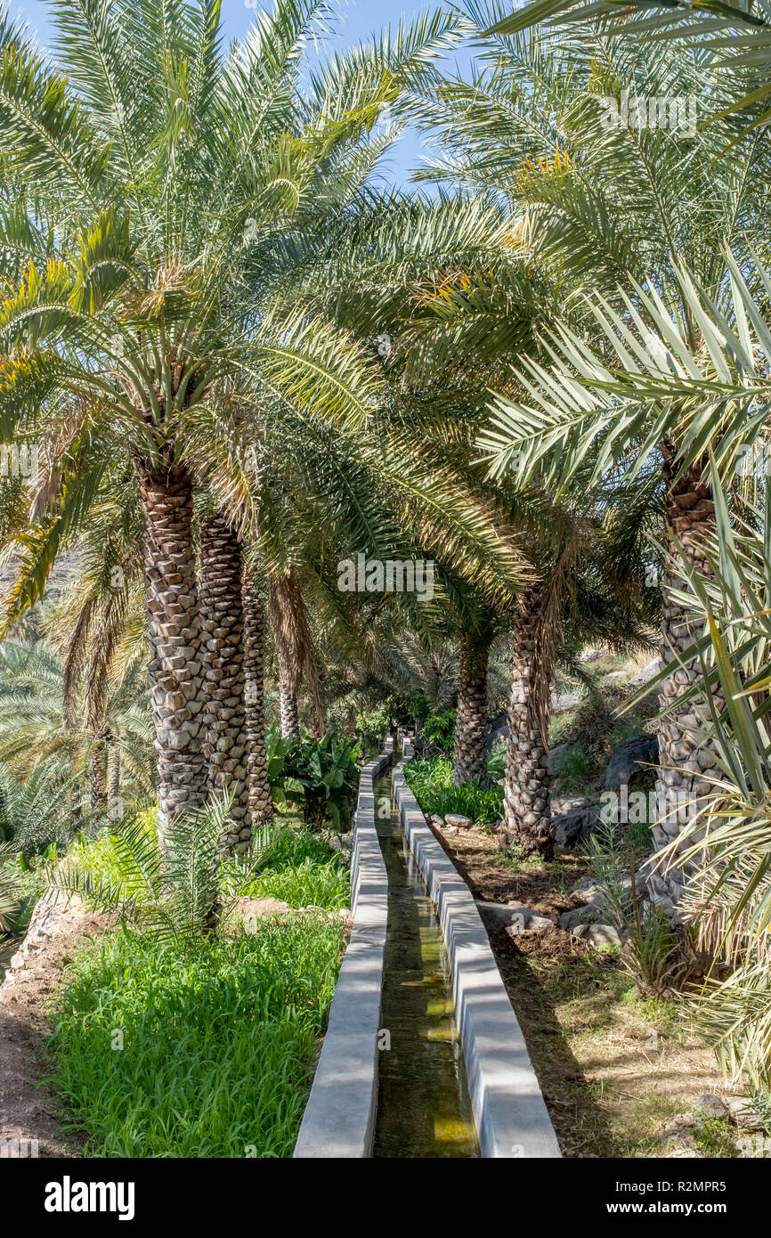 Traditional falaj irrigation system in Misfat in Oman Stock Photo - Alamy