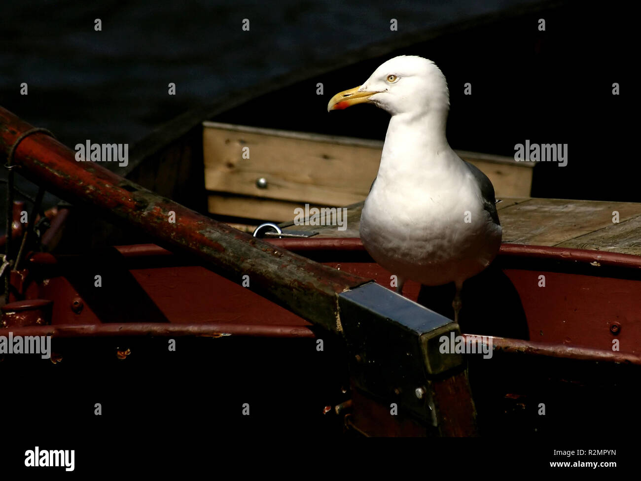 Helmsman view hi-res stock photography and images - Alamy