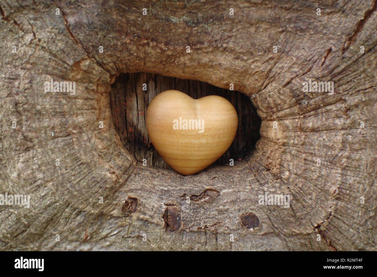 heart in tree Stock Photo - Alamy