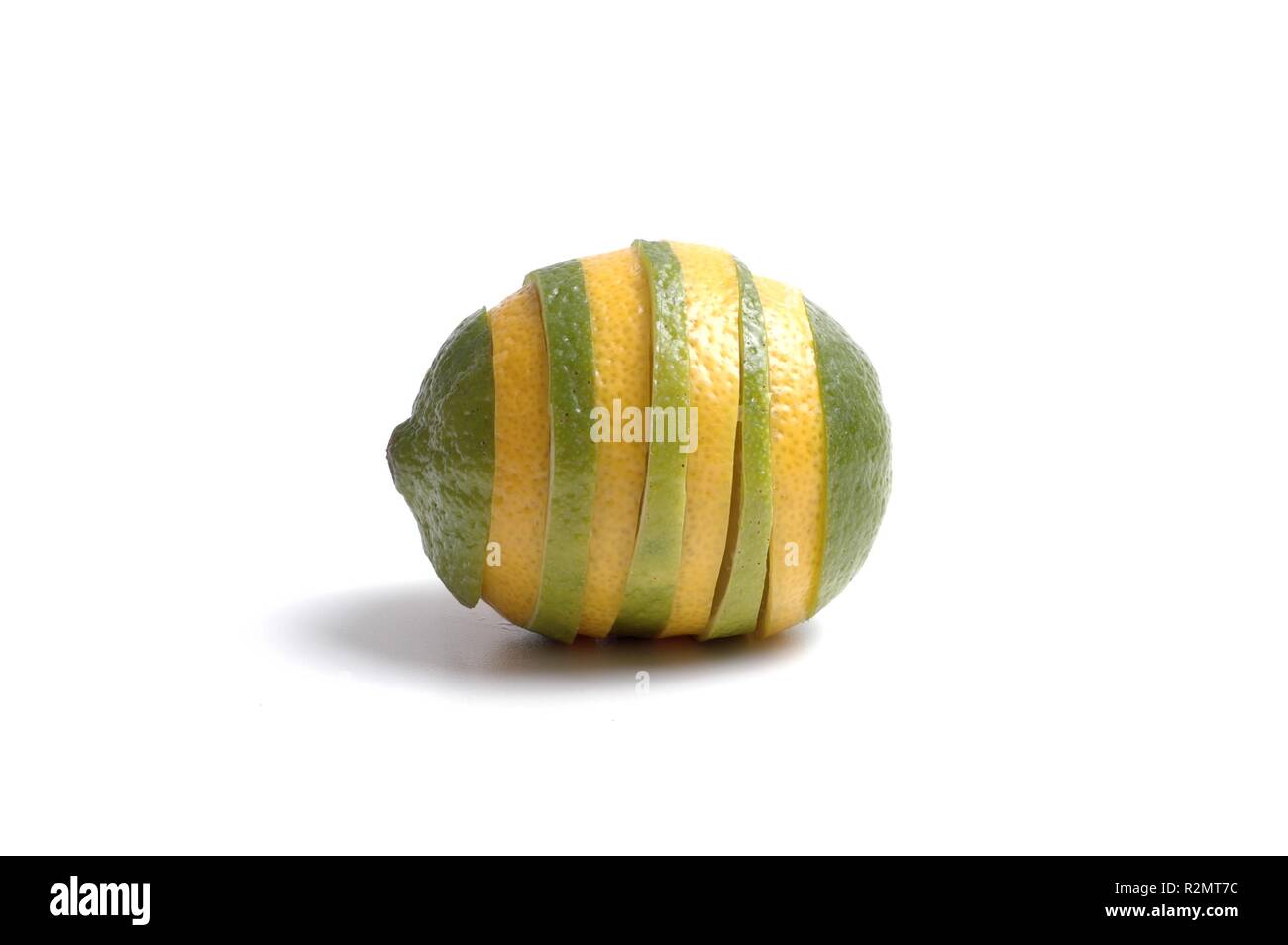 Ss bear Cut Out Stock Images & Pictures - Alamy