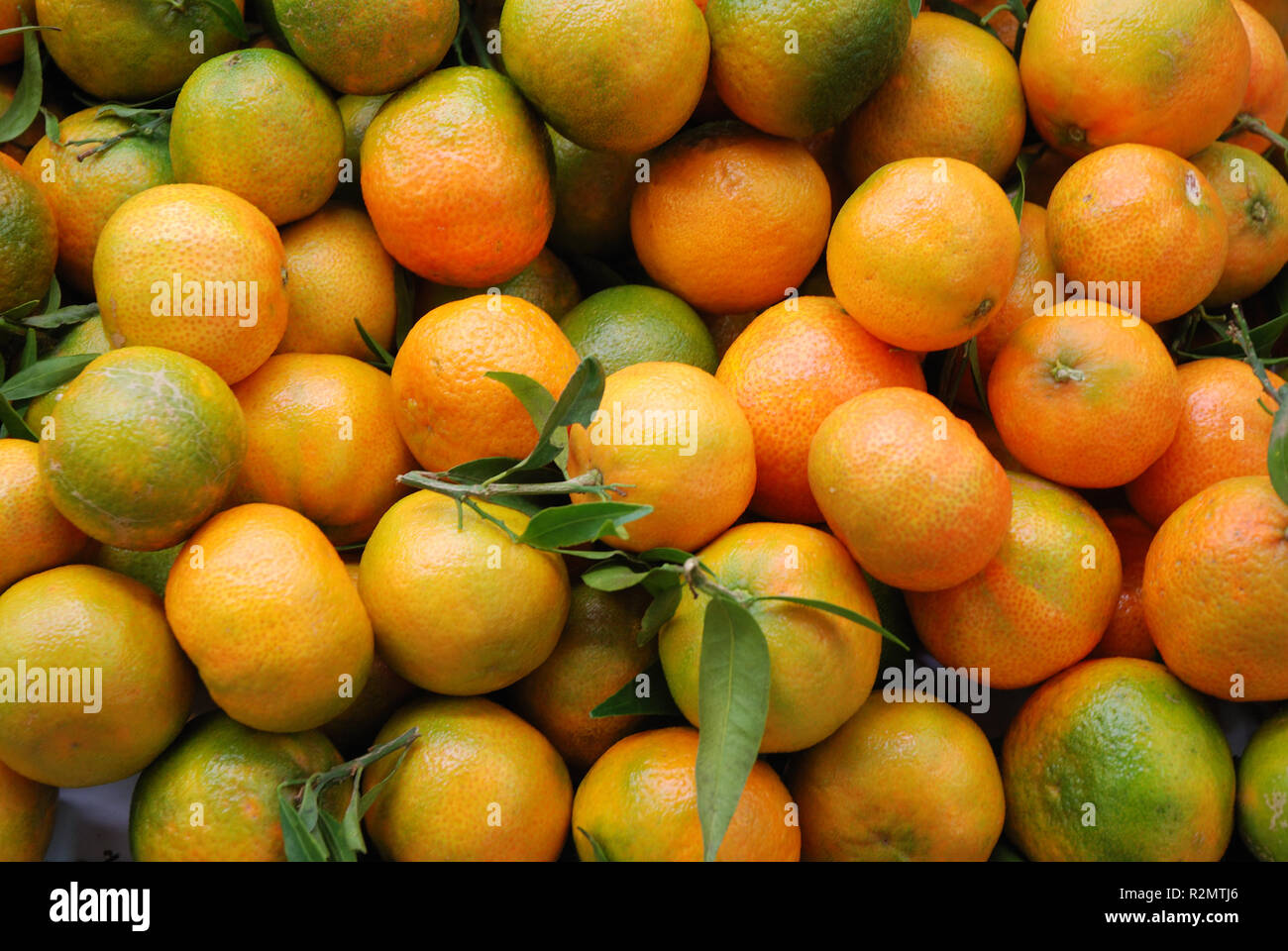 fresh oranges on the market Stock Photo - Alamy