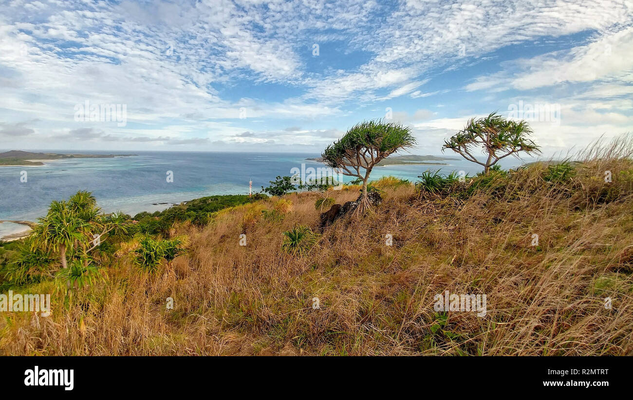 Sea behind trees and bushes hi-res stock photography and images - Alamy