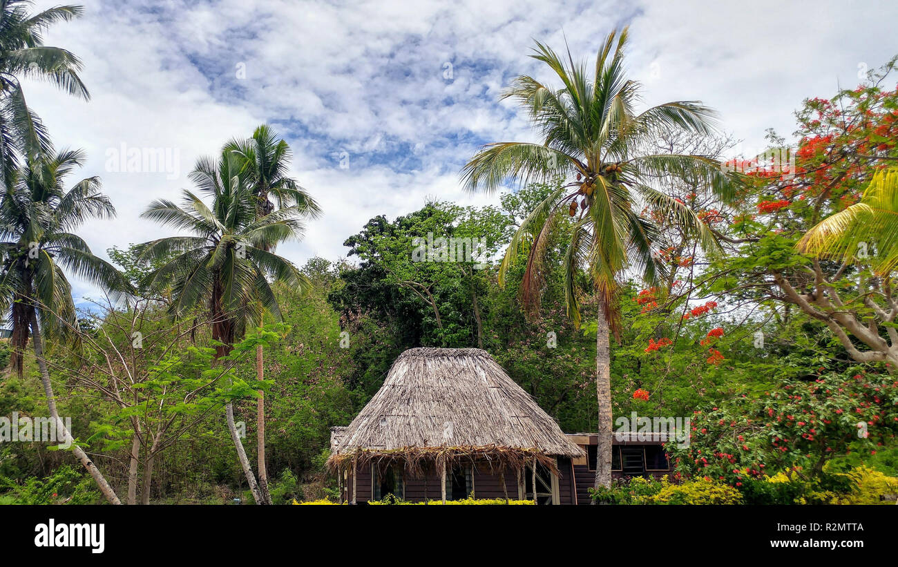 Straw hut surrounded by palm trees and colorful trees, Fiji Stock Photo ...