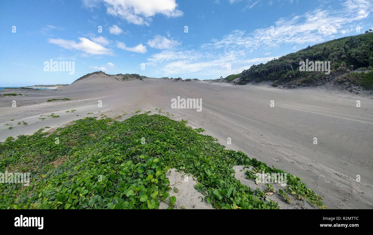 White sand dunes, Fiji Stock Photo - Alamy