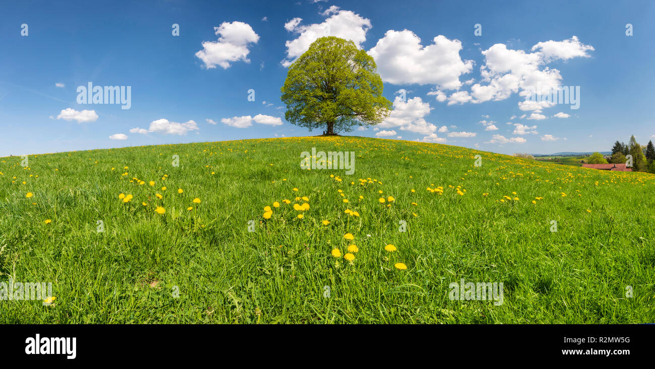 The perfect angle hi-res stock photography and images - Alamy
