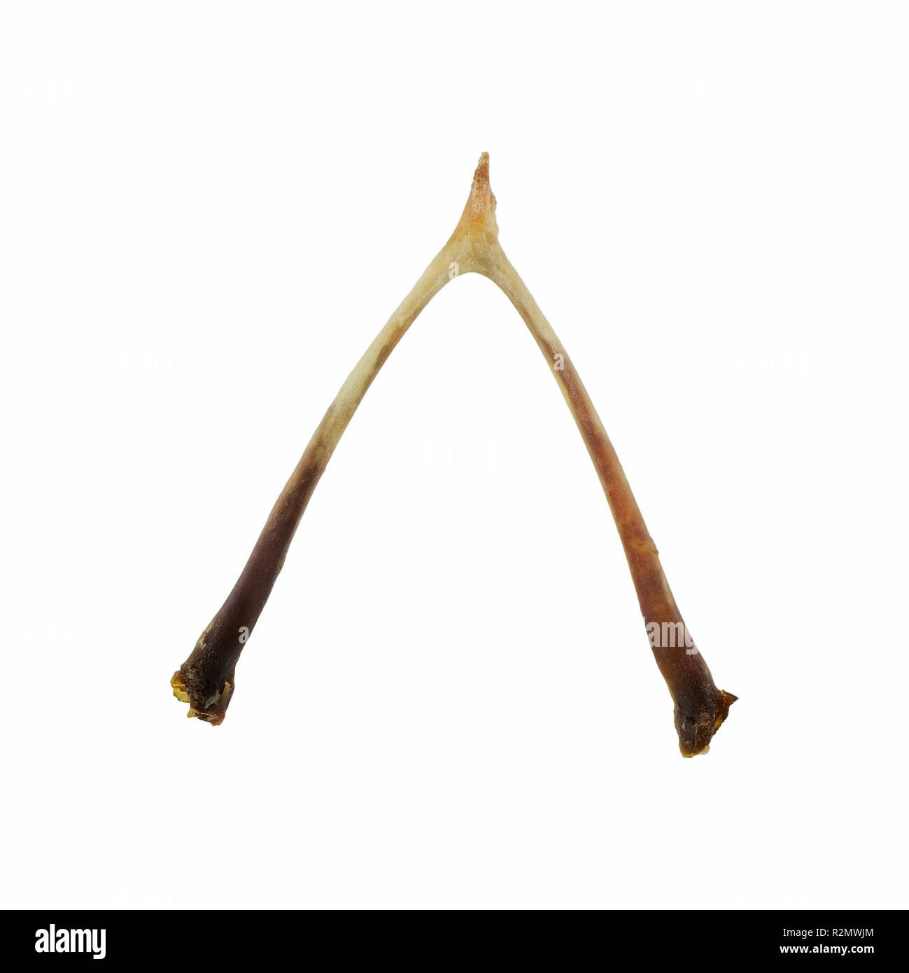 Chicken wishbone hi-res stock photography and images - Alamy