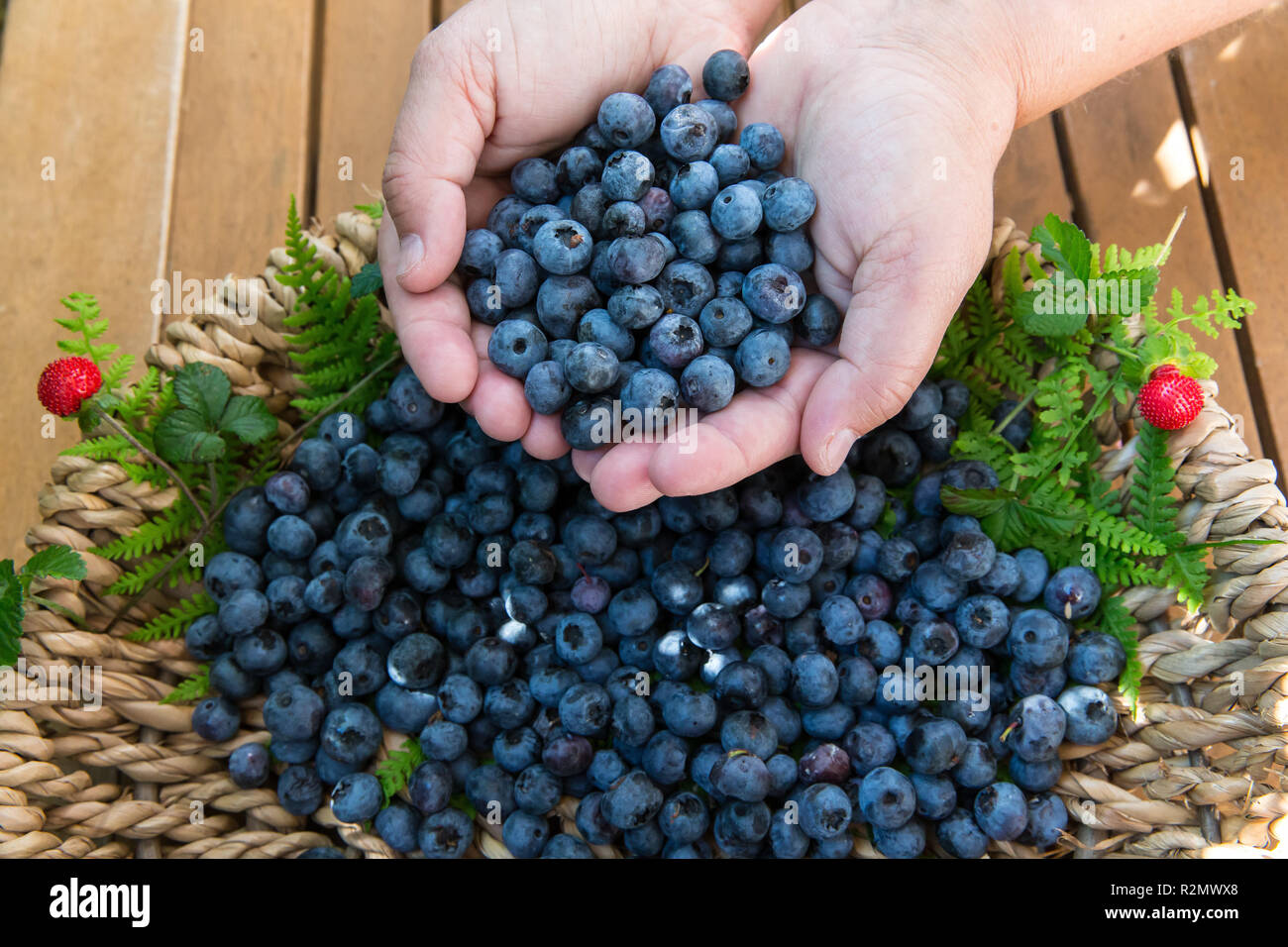 Hands full hi-res stock photography and images - Alamy