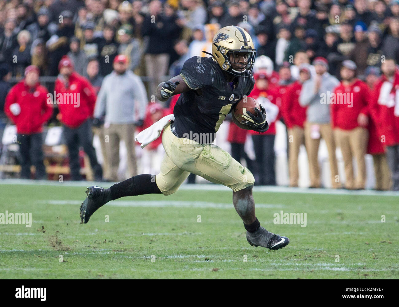 Triple Overtime. 17th Nov, 2018. Purdue running back D.J. Knox (1) runs ...