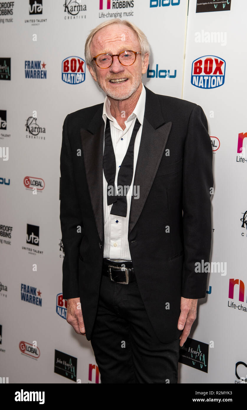 LONDON, ENGLAND - NOVEMBER 19: Mike Chapman attends the Nordoff Robbins ...