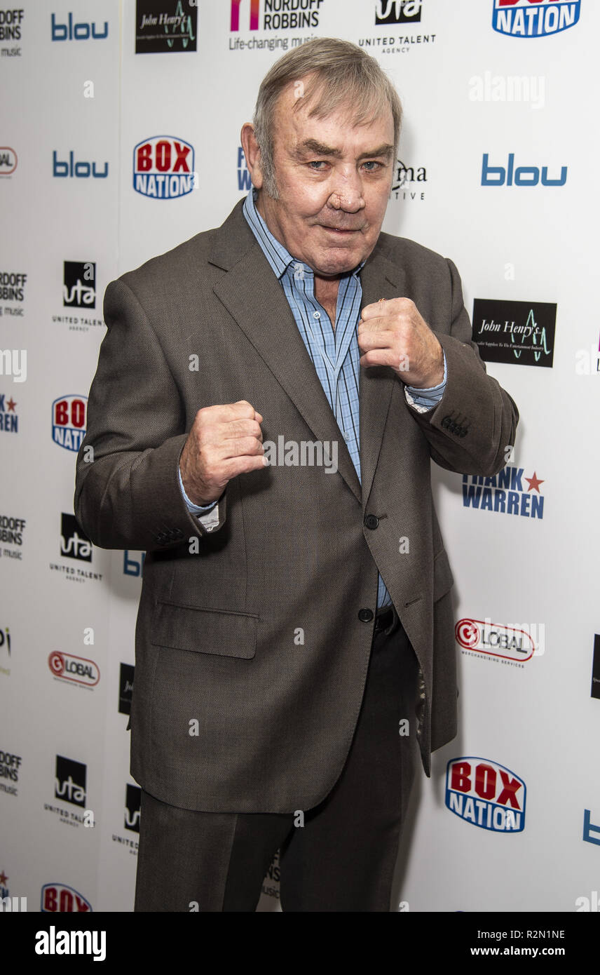 London, UK. 19th Nov, 2018. Alan Minter attends the Nordoff Robbins ...