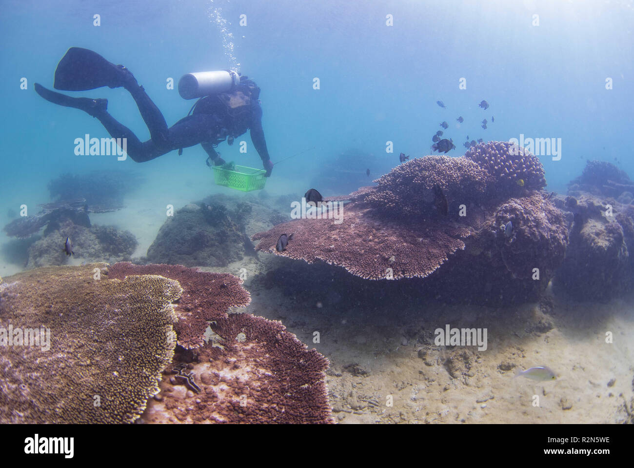 China’s coral reefs hi-res stock photography and images - Alamy