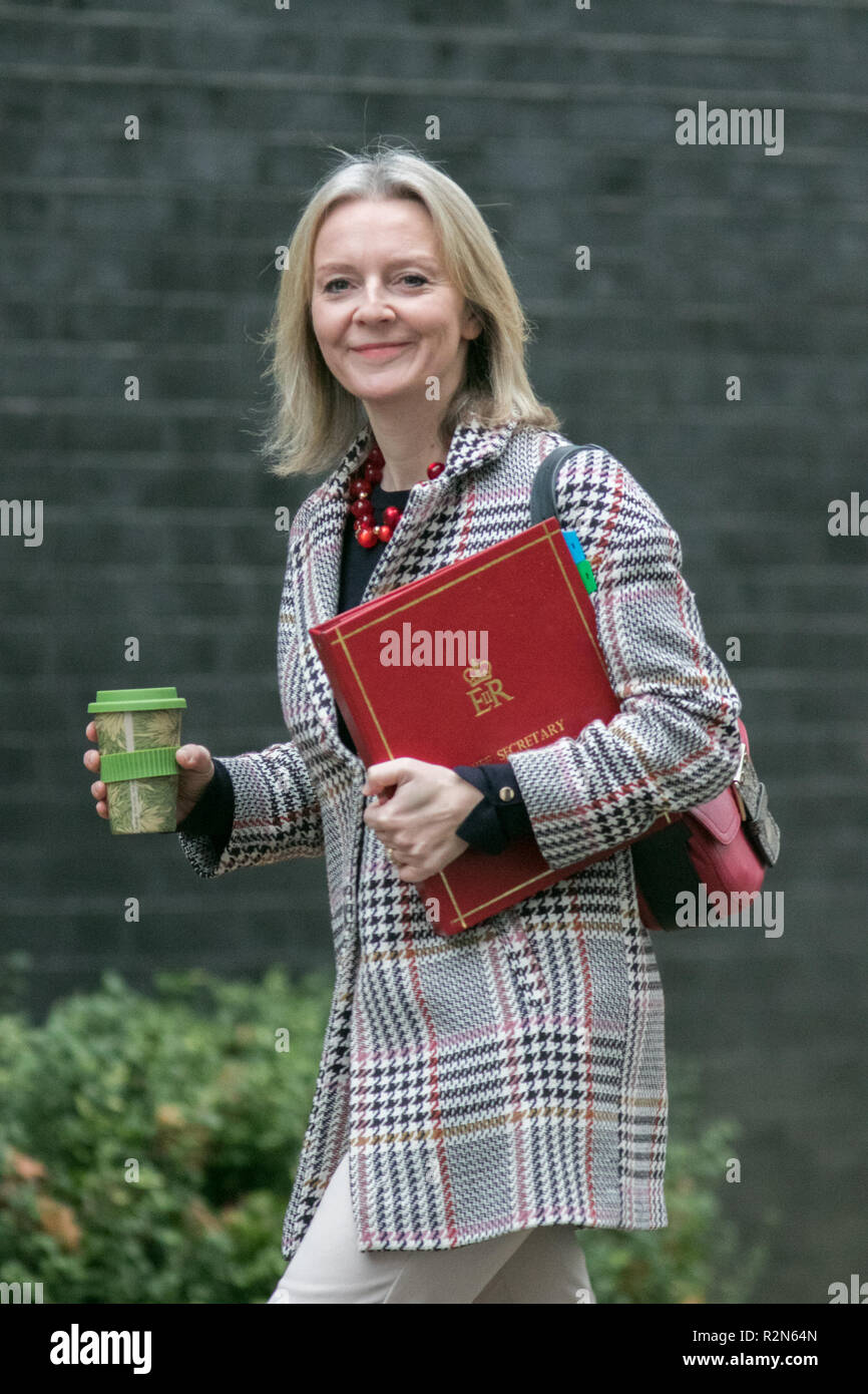 London, UK. 20th Nov, 2018. Elizabeth Truss Chief Secretary to the ...
