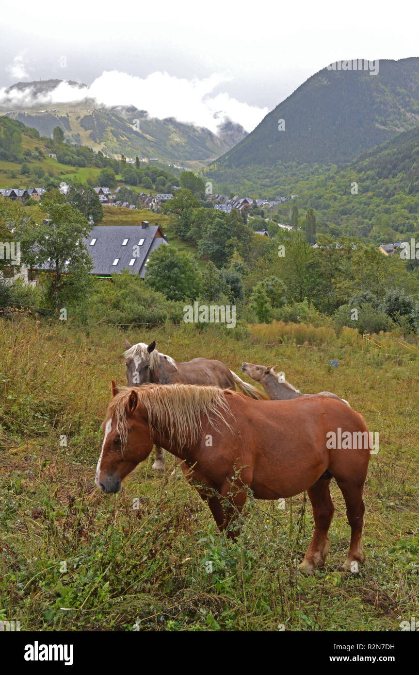 Hike through the Arantal with its authentic mountain villages in the ...