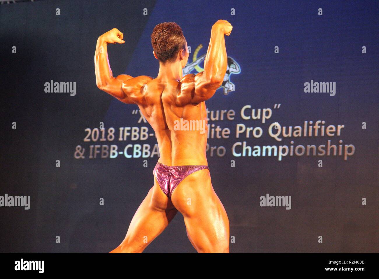 Ifbb cbba hi-res stock photography and images - Alamy