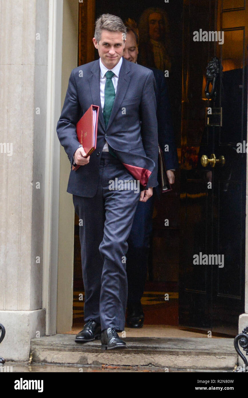 London 20th November 2018: Gavin Williamson MP, Secretary of State for ...