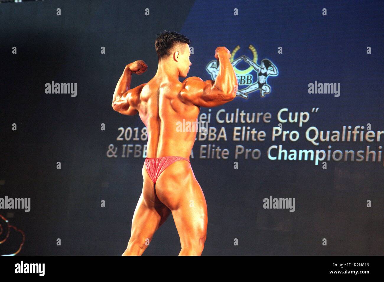 Ifbb Cbba High Resolution Stock Photography and Images - Alamy
