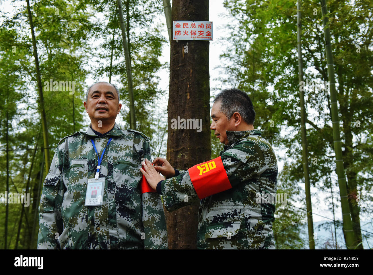 (181120) -- CHISHUI, Nov. 20, 2018 (Xinhua) -- Forest ranger Li Yongfu ...