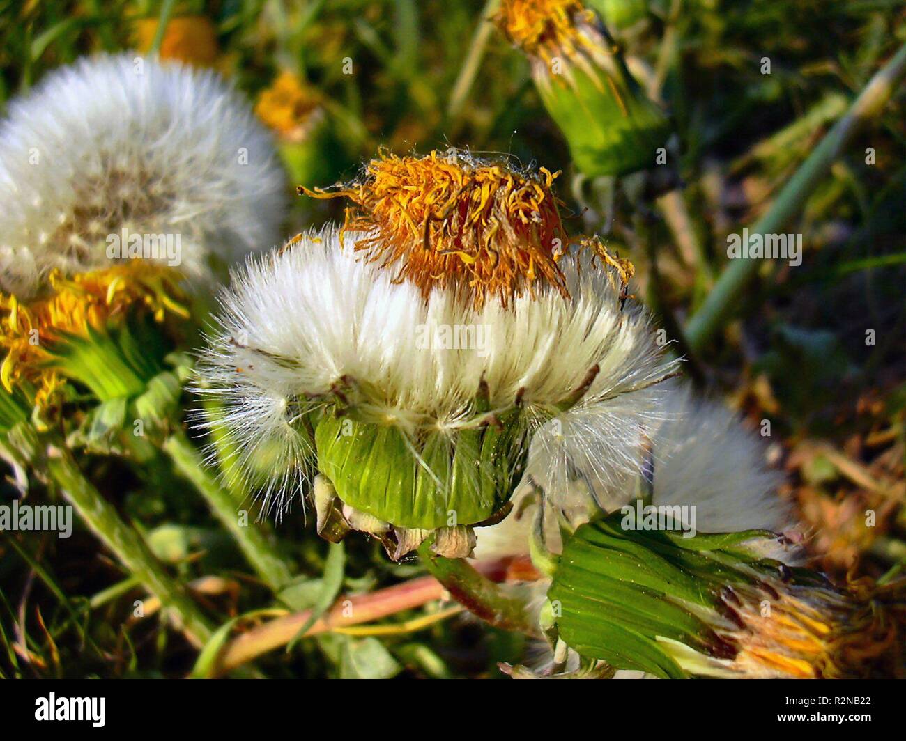 Quick change artist hi-res stock photography and images - Alamy