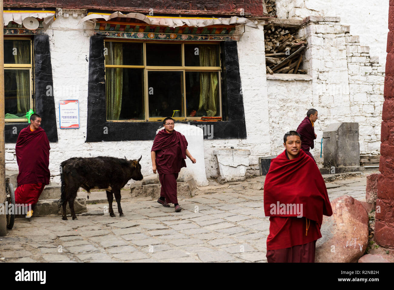 Tsurphu monastery tibet china hi-res stock photography and images - Alamy