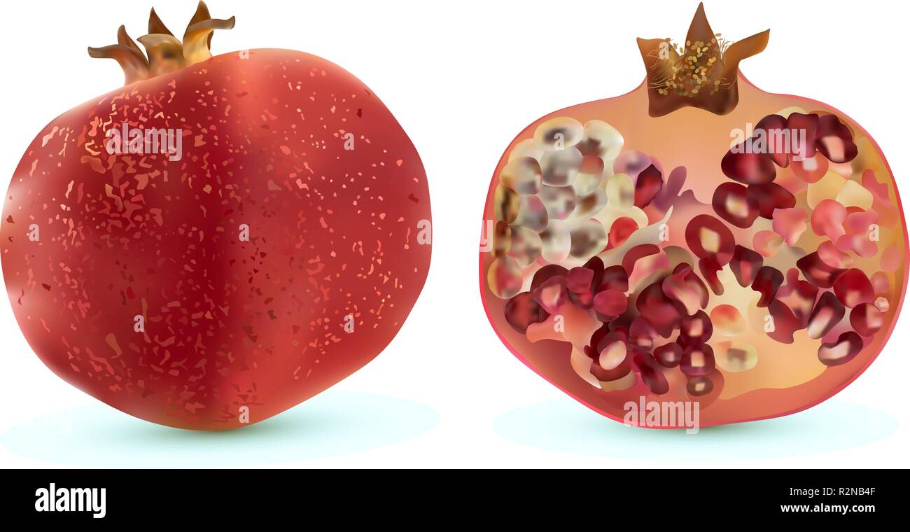 3d Vector Realistic Pomegranate Tropical Fruit Set Isolated On White