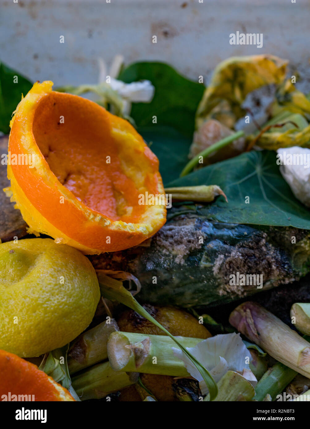 food scraps in compost pile Stock Photo - Alamy