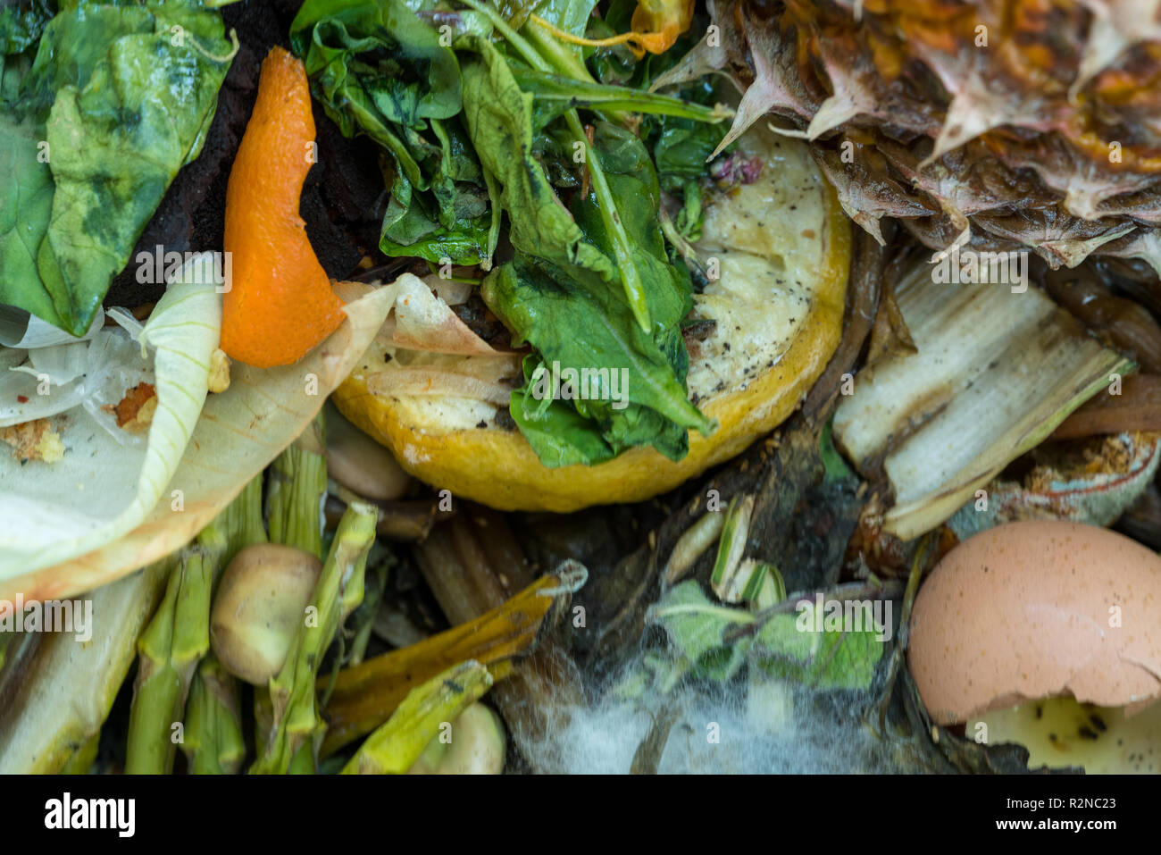food scraps in compost pile Stock Photo - Alamy