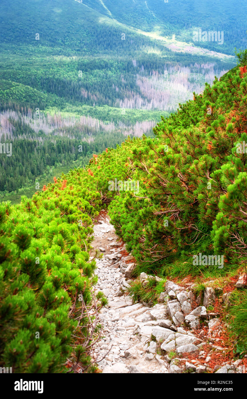 Mountain pathway nature path hi-res stock photography and images - Alamy