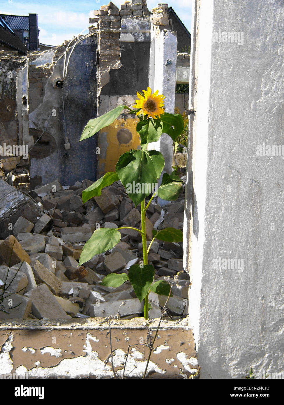 one end is also a beginning Stock Photo - Alamy