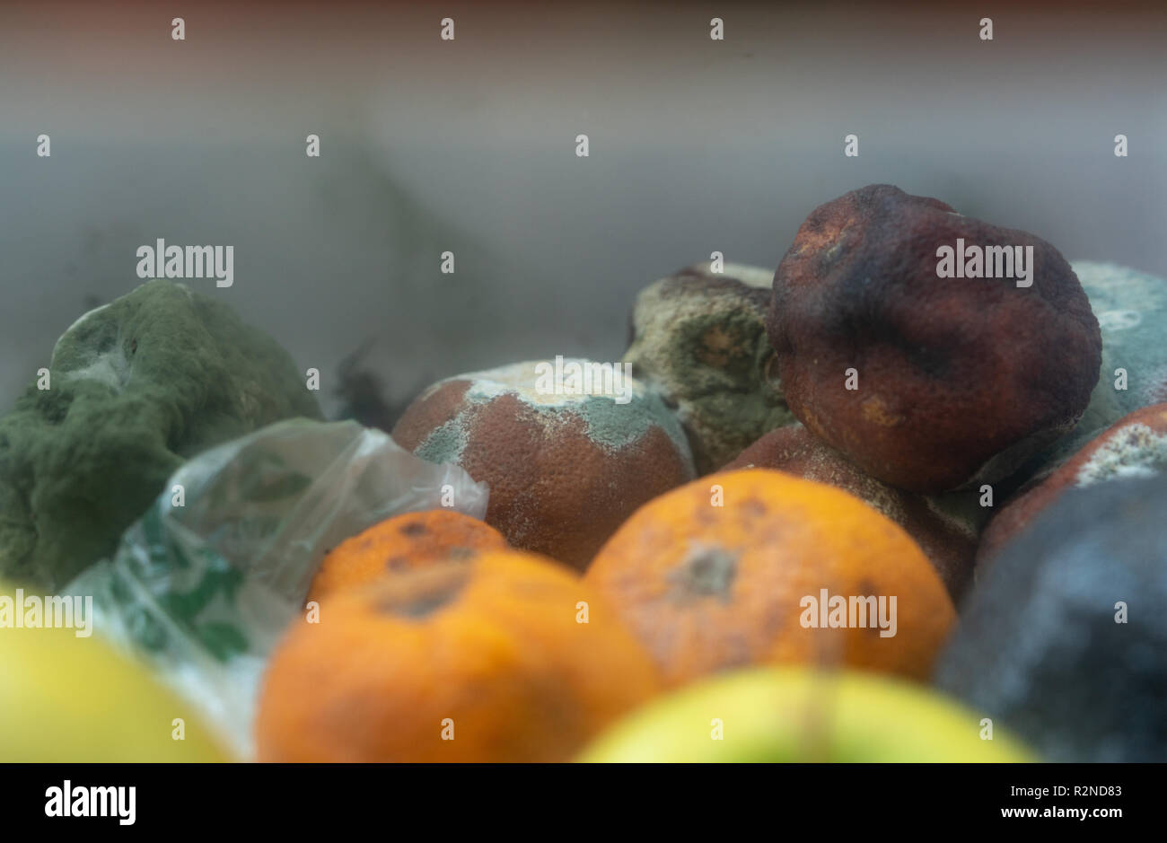 rotten fruit in refrigerator fruit bin Stock Photo - Alamy