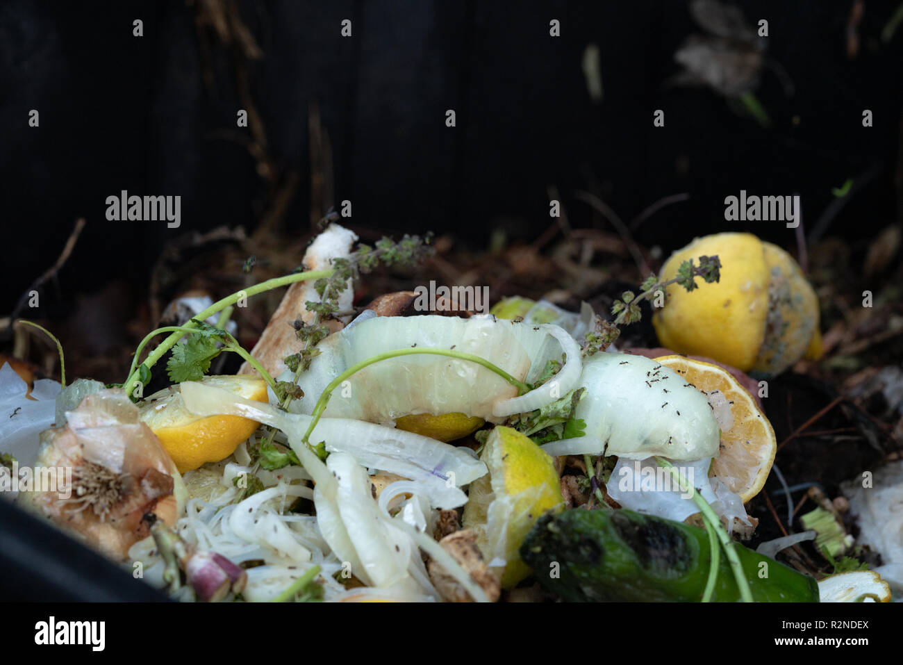 food scraps in compost pile Stock Photo - Alamy