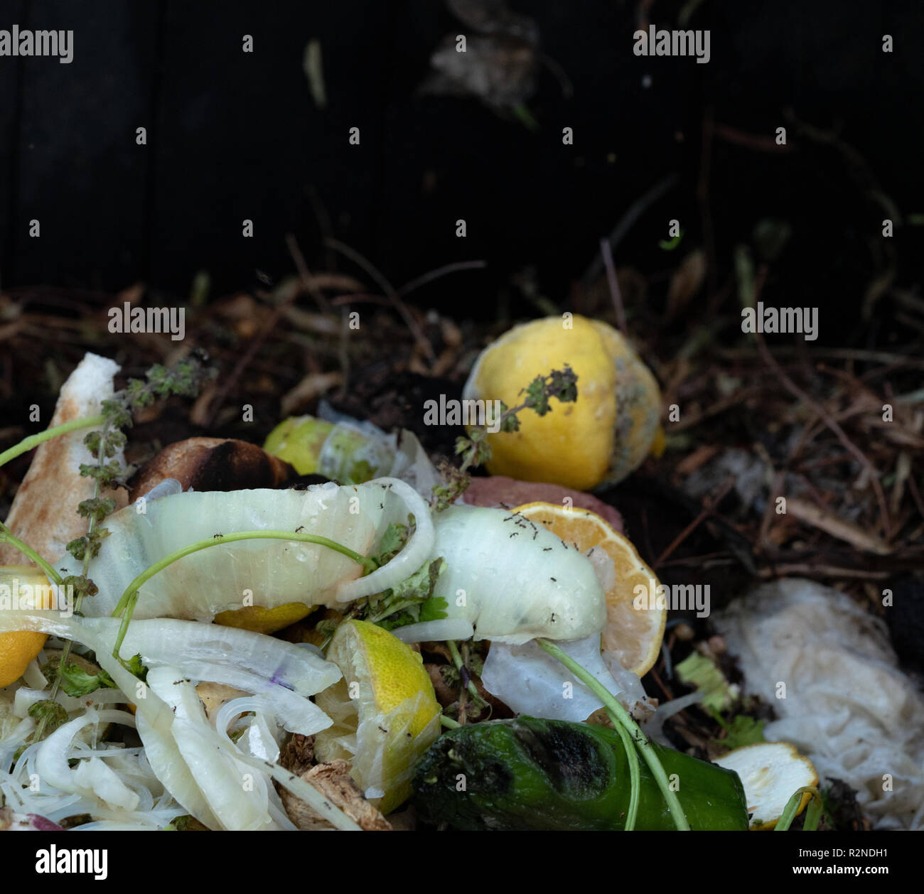 food scraps in compost pile Stock Photo - Alamy