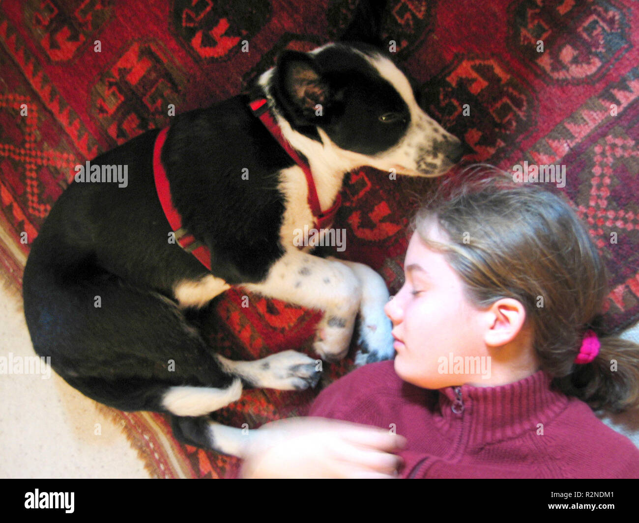 Child model children growing up portrait hi-res stock photography and ...