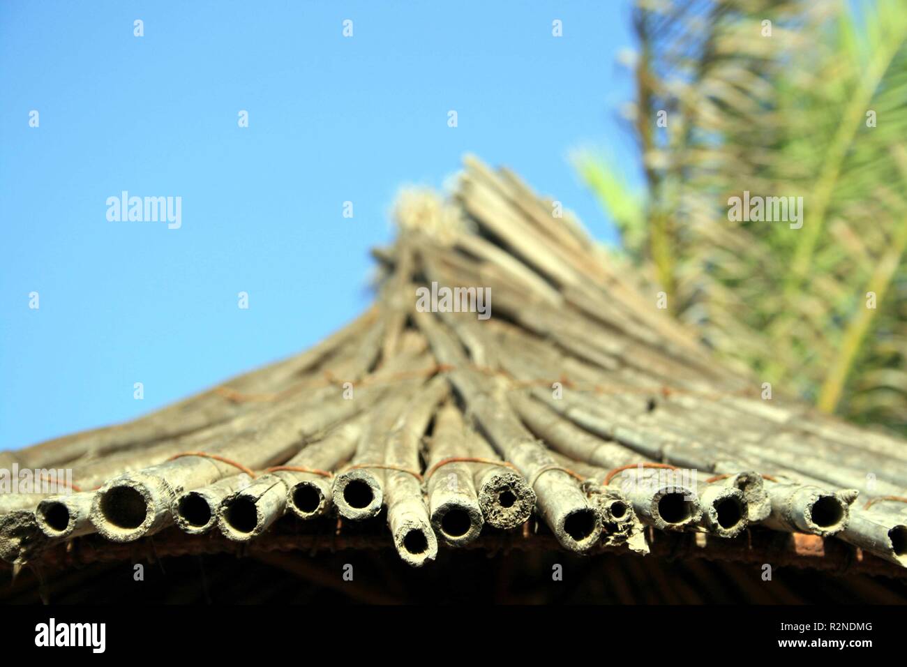 Rohrdach hi-res stock photography and images - Alamy