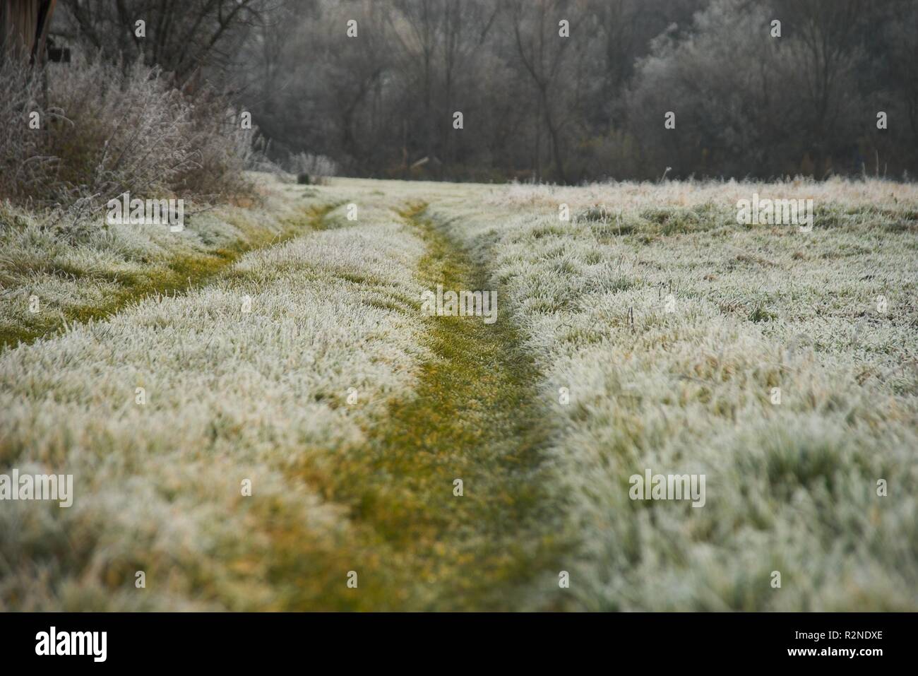 dirt road with frost Stock Photo - Alamy