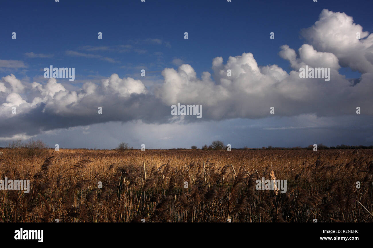 Stodmarsh national nature reserve hi-res stock photography and images ...