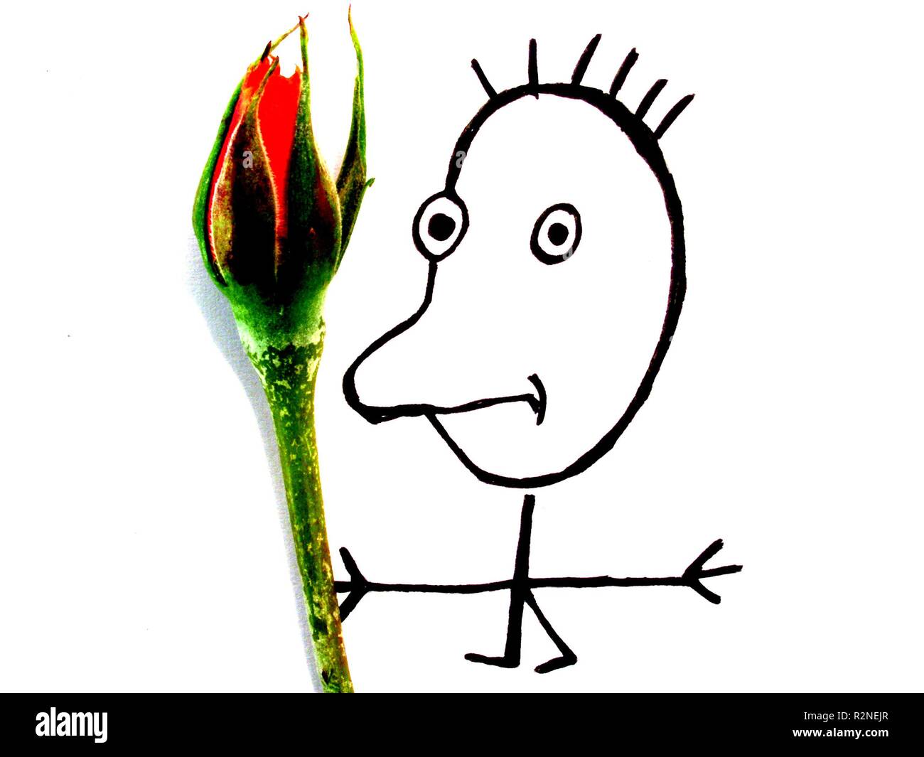 Cavalier of the rose hi-res stock photography and images - Alamy