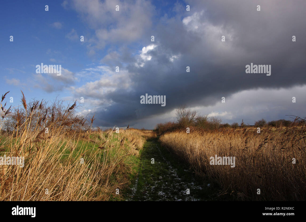 Stodmarsh nature reserve hi-res stock photography and images - Alamy