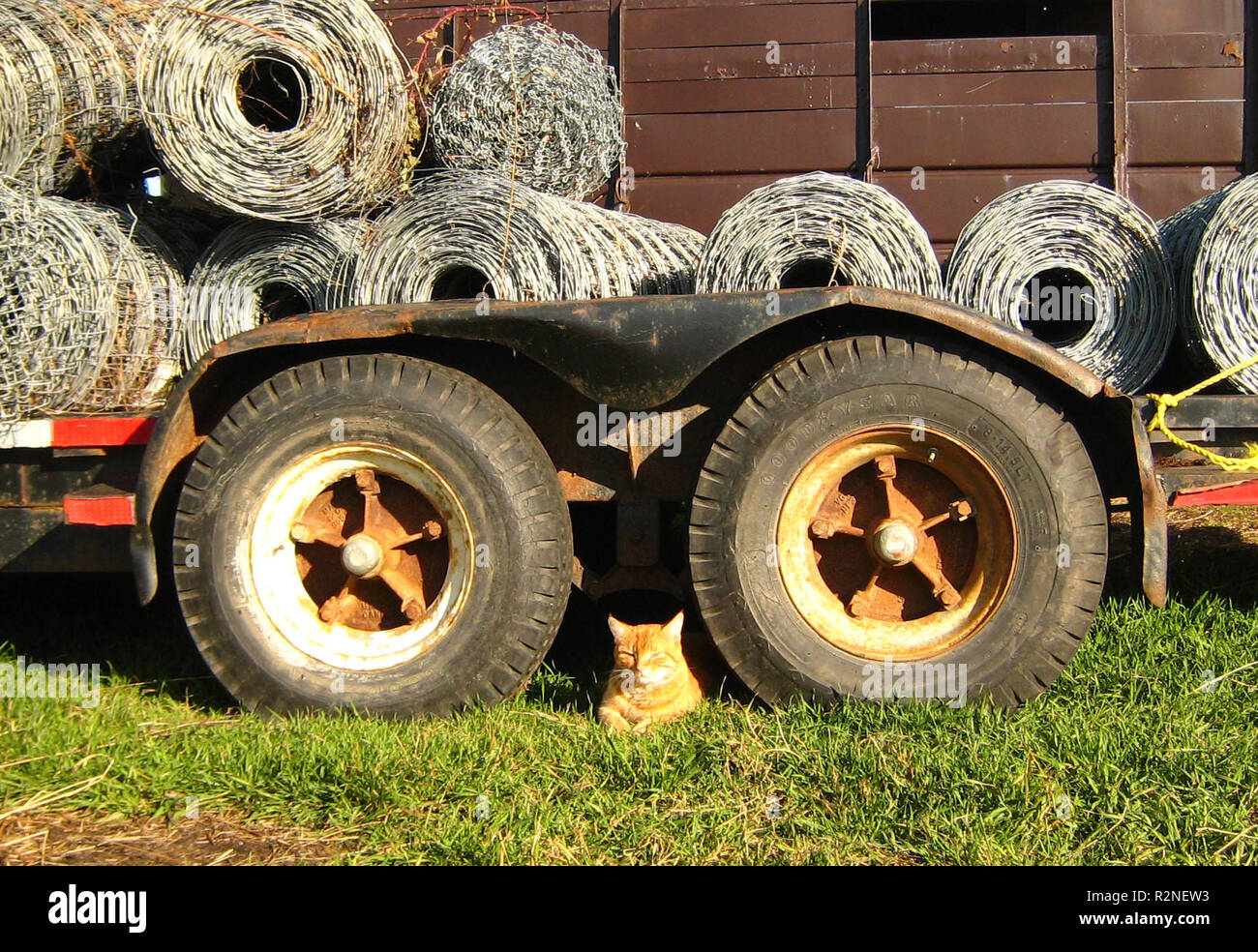 Under the wheels hi-res stock photography and images - Alamy