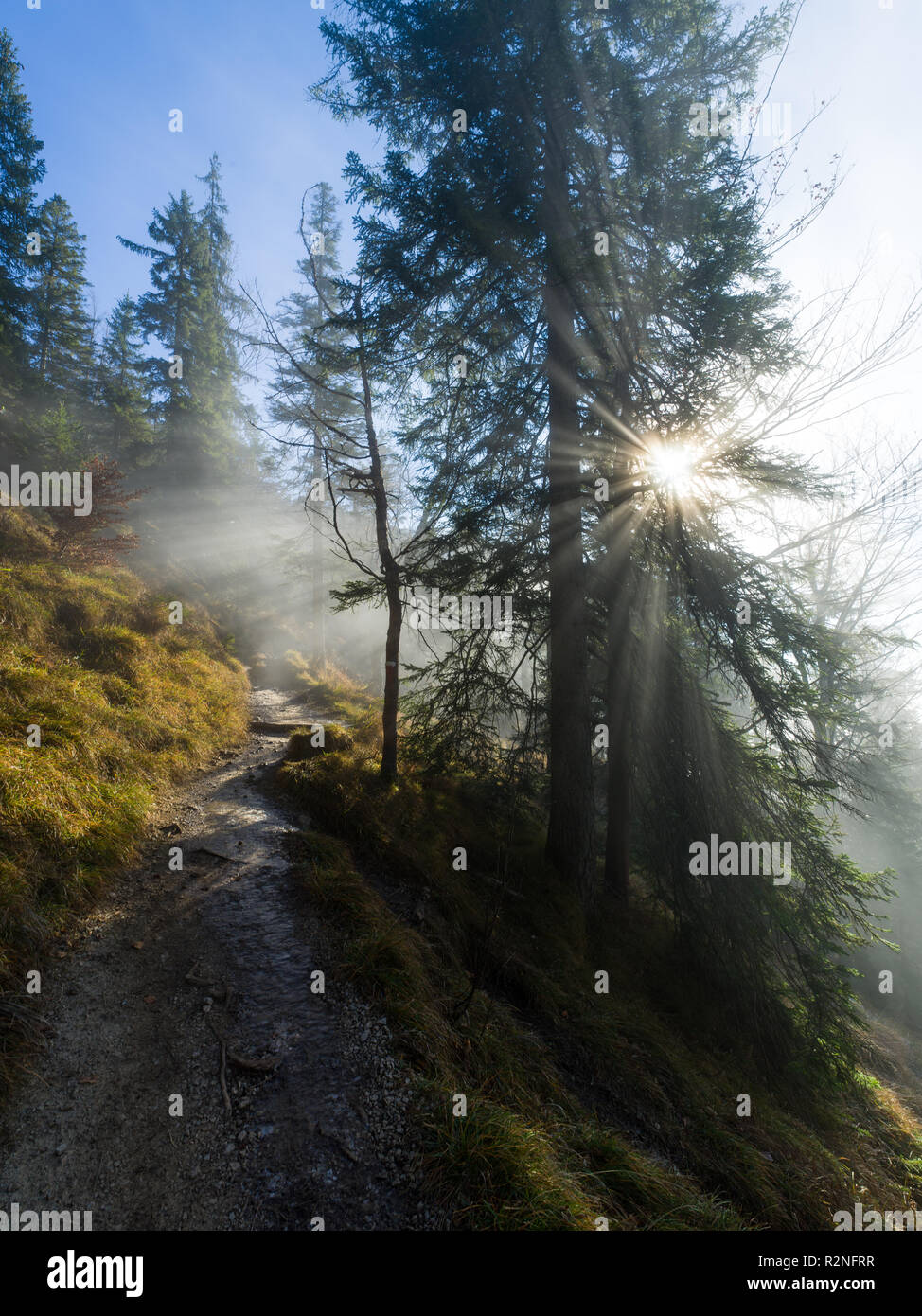 Beautiful sun rays hi-res stock photography and images - Alamy