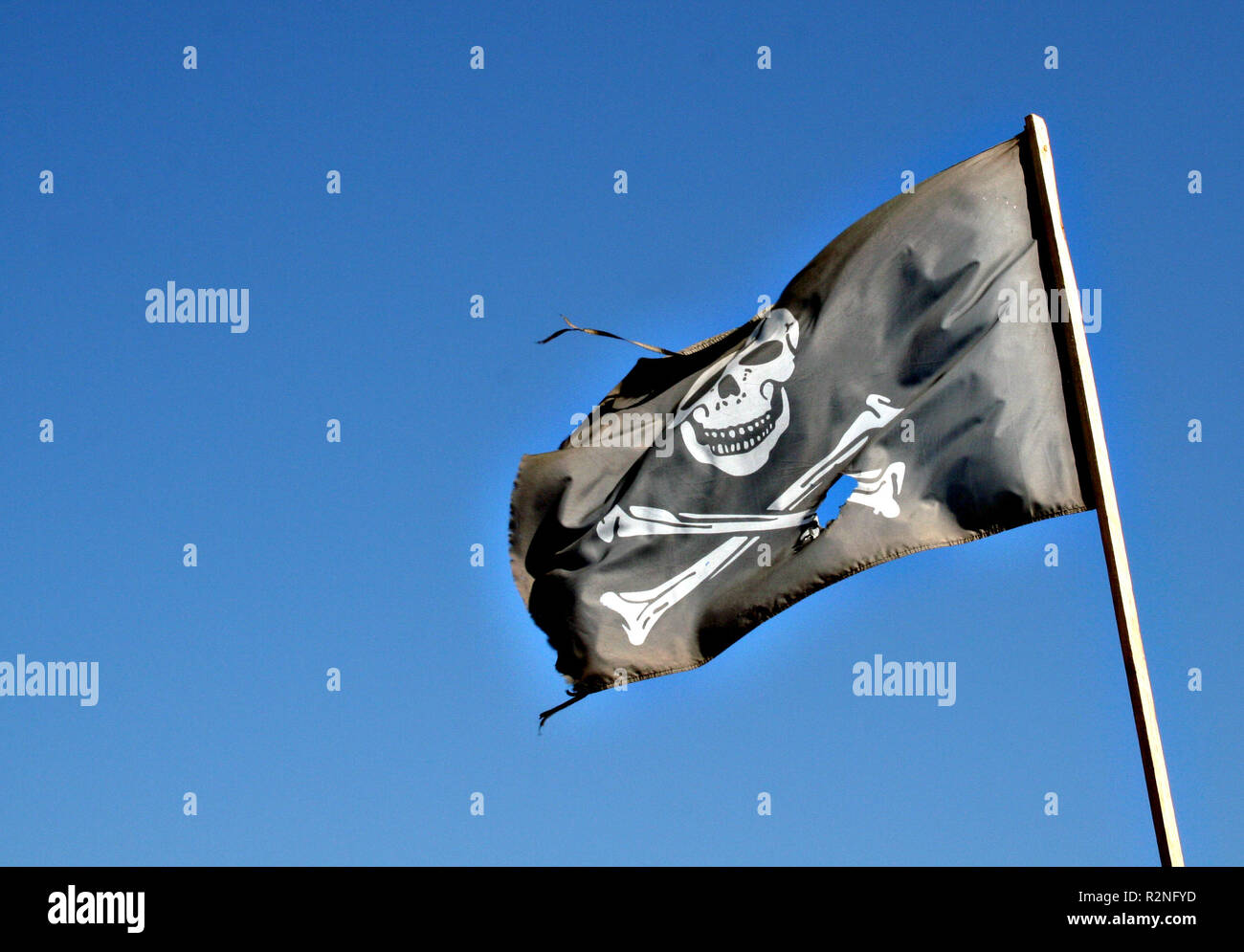 Frazzled hi-res stock photography and images - Alamy