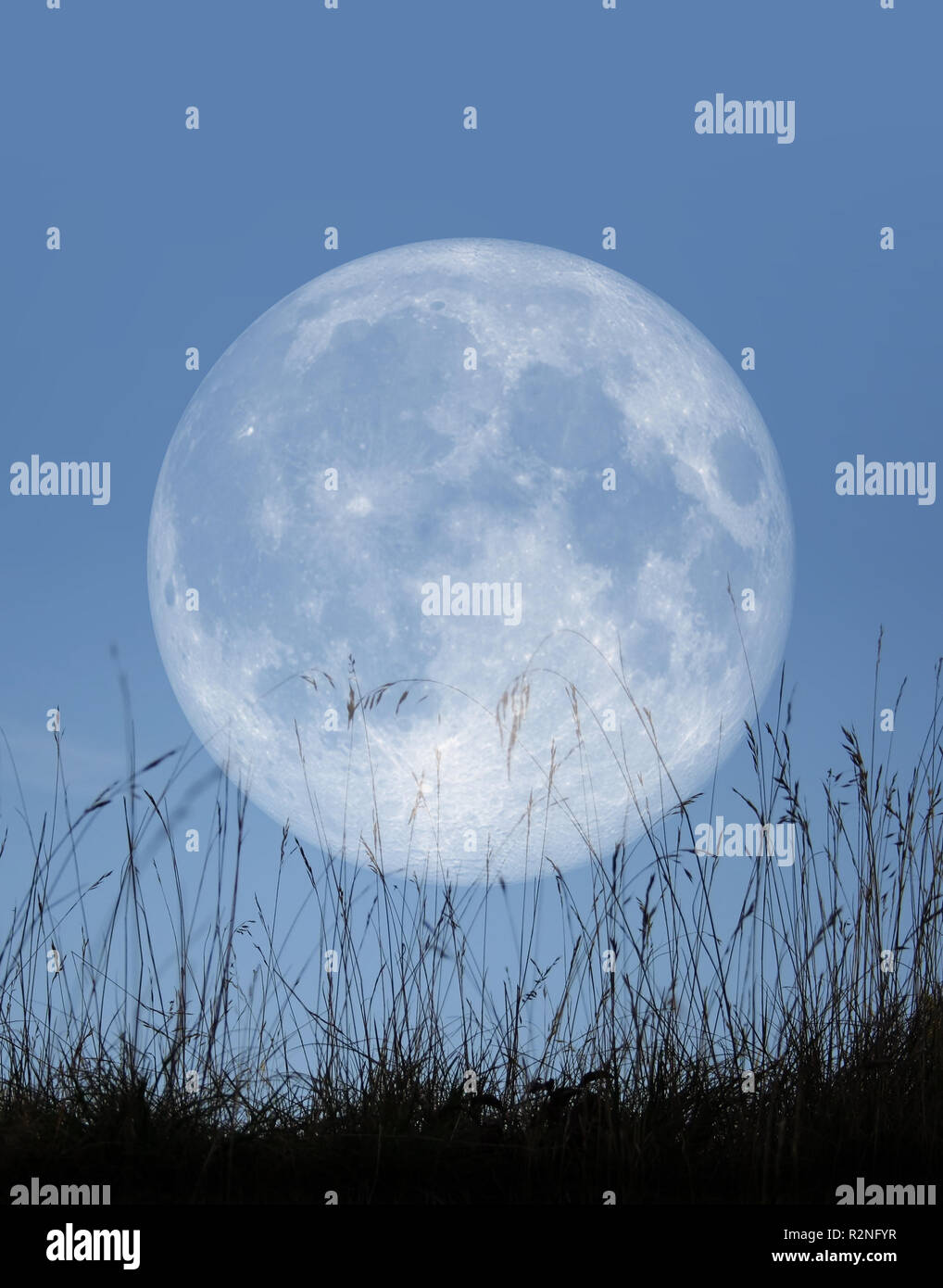 Mega shine hi-res stock photography and images - Alamy