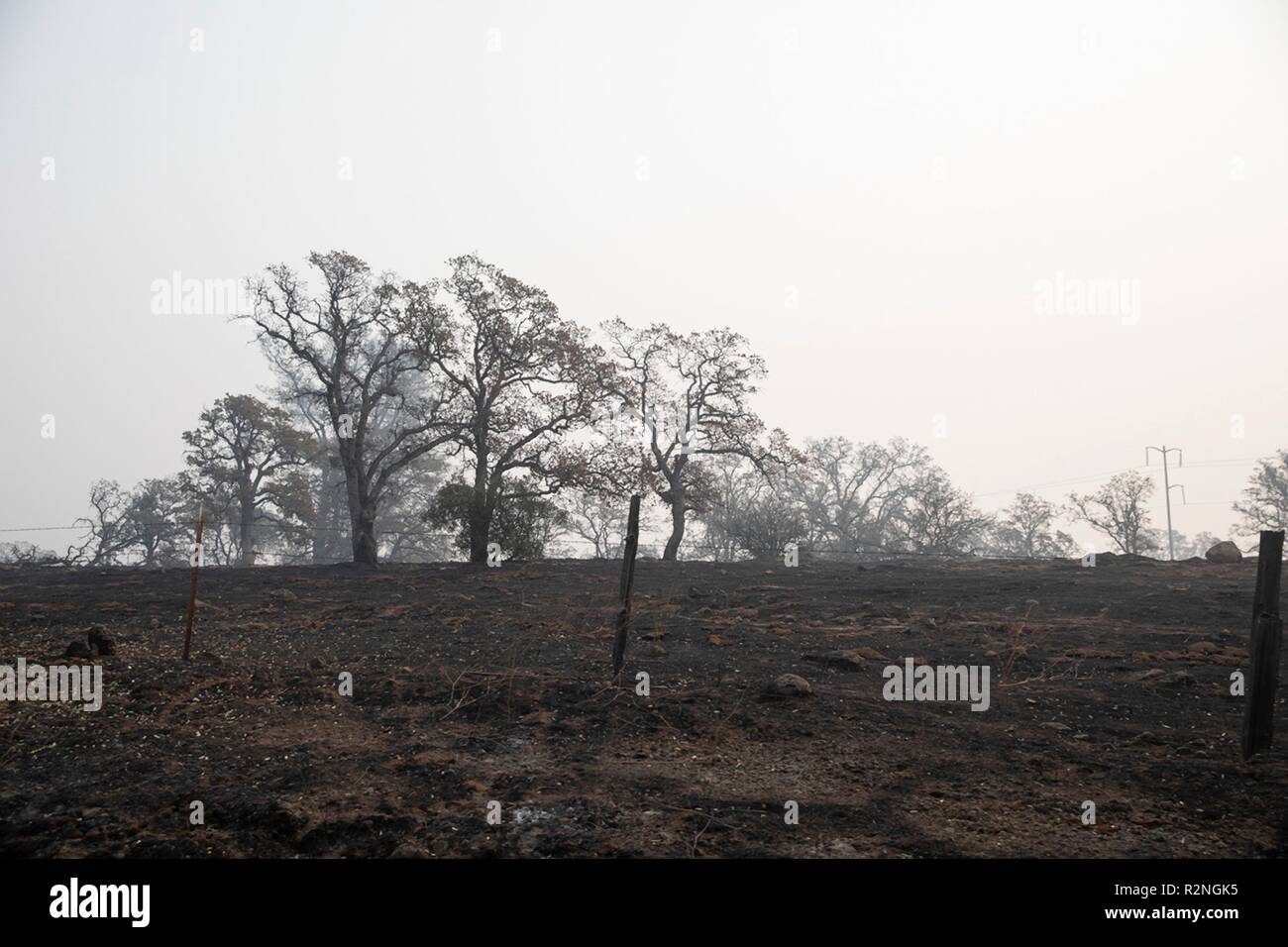 Paradise camp fire california hi-res stock photography and images - Alamy