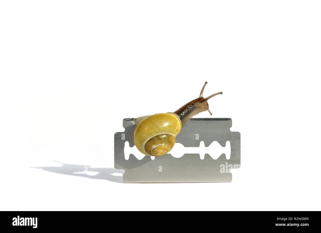 Project creep hi-res stock photography and images - Alamy