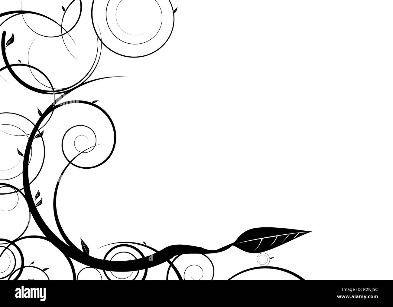 Vines leaves transparent background Black and White Stock Photos ...