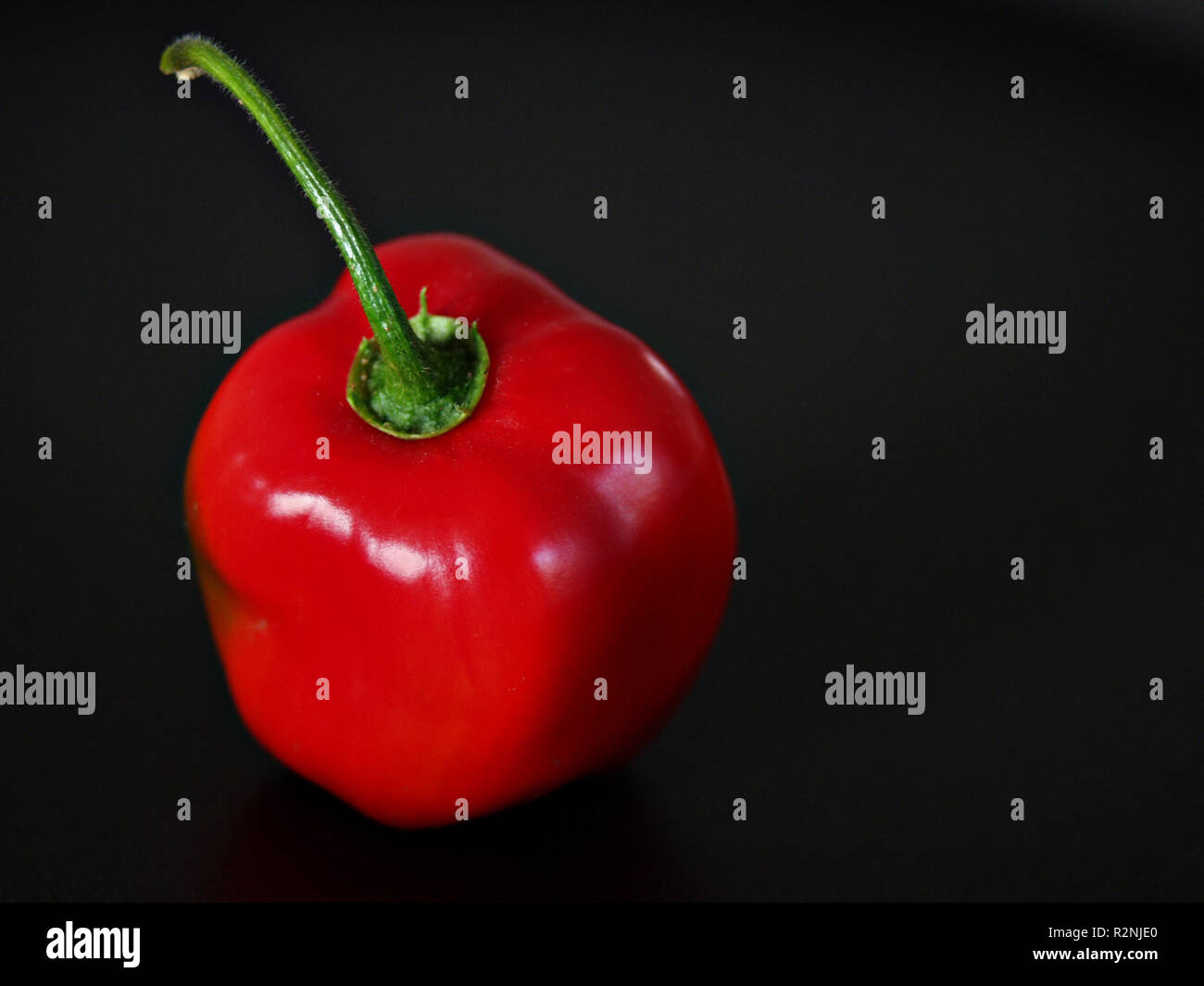 tree chili ii Stock Photo - Alamy
