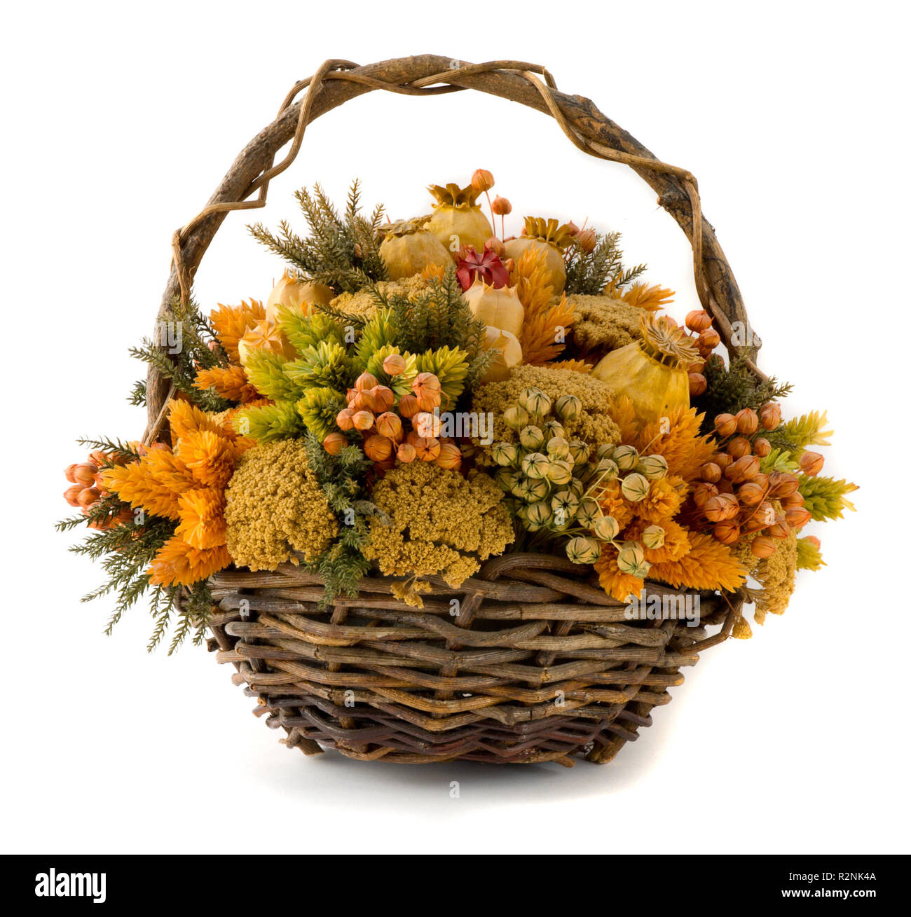 Dried flower display Cut Out Stock Images & Pictures - Alamy