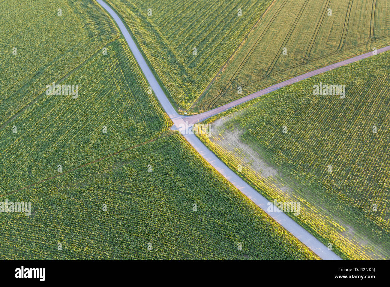 Road through corn fields at Chieming am Chiemsee, Chiemgau, Upper ...