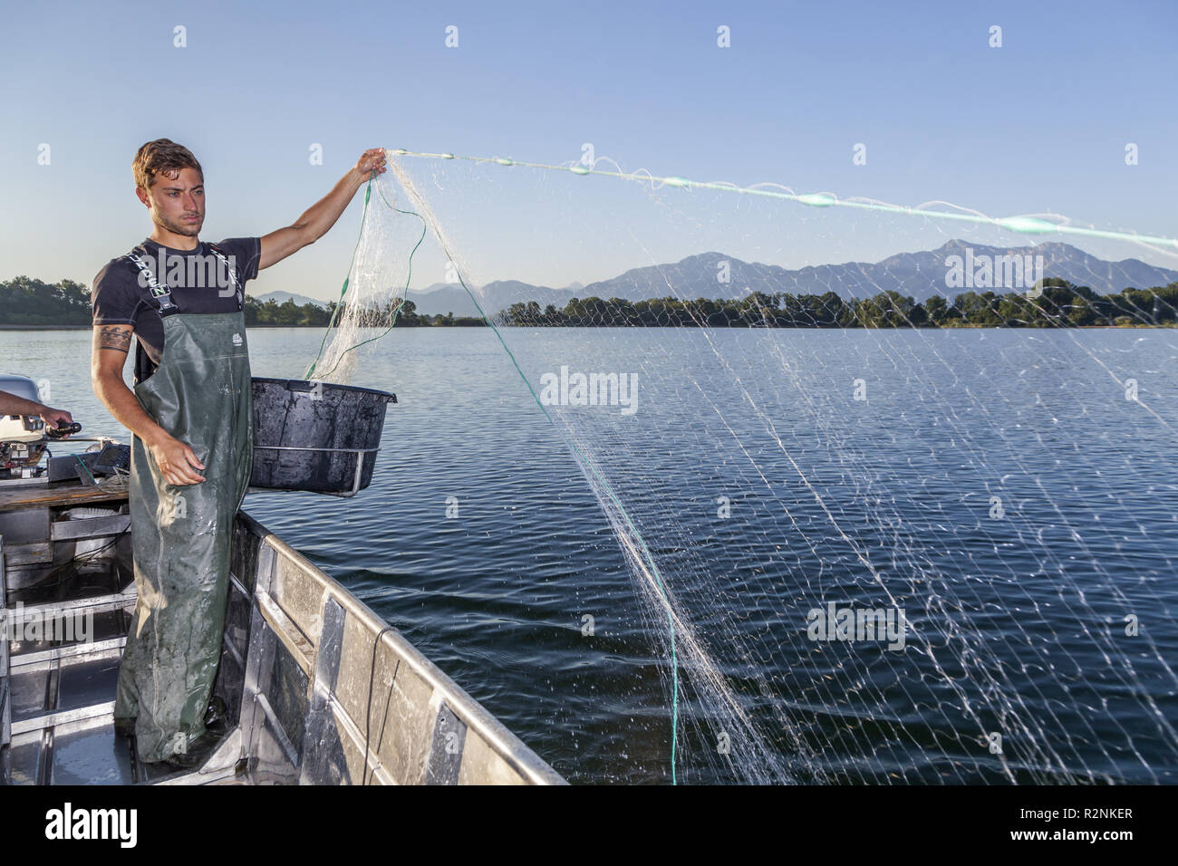 Fishermen thomas and florian lex from fraueninsel laying nets hi-res ...