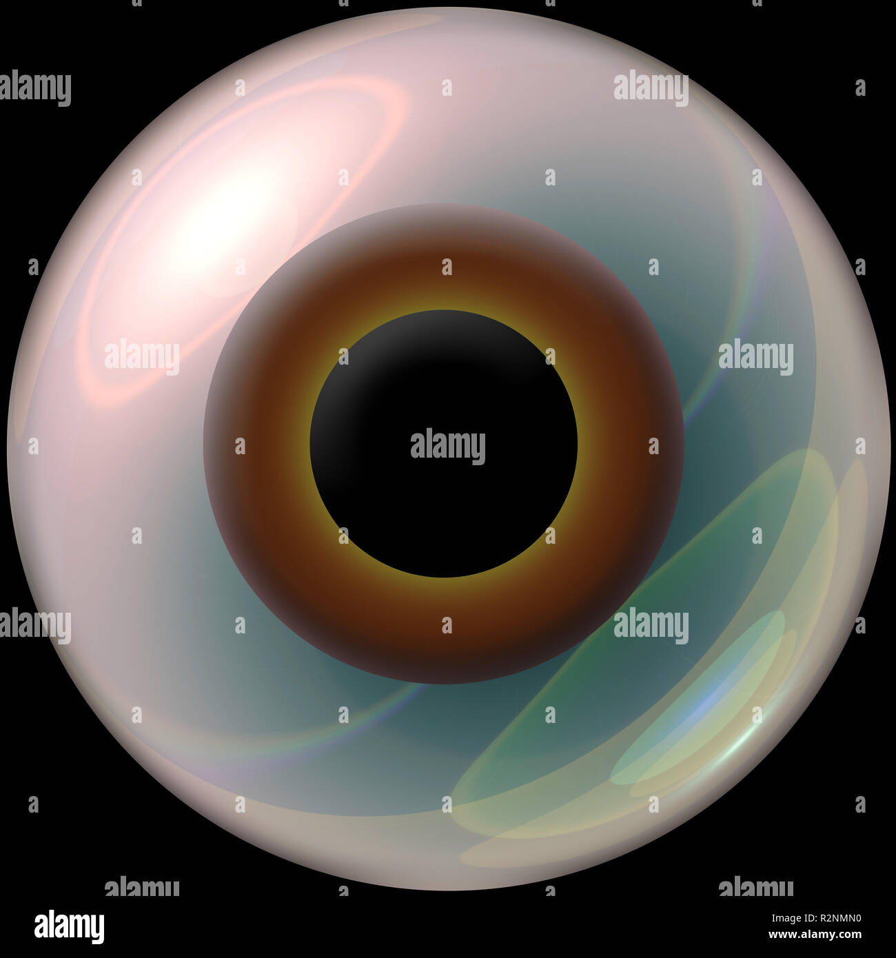 Eyelid anatomy hi-res stock photography and images - Alamy
