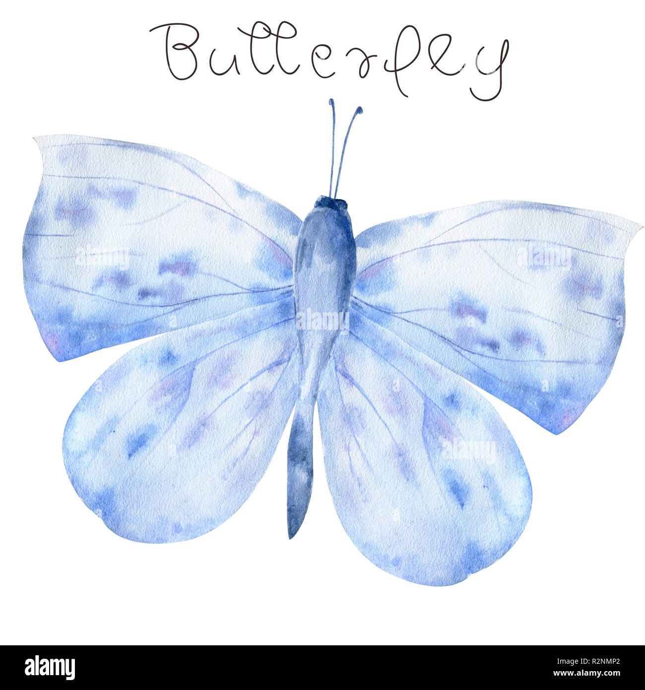 Watercolor blue butterfly , isolated on white background Stock Photo ...